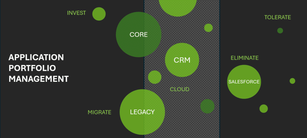 An Introductory Guide to Application Portfolio Management